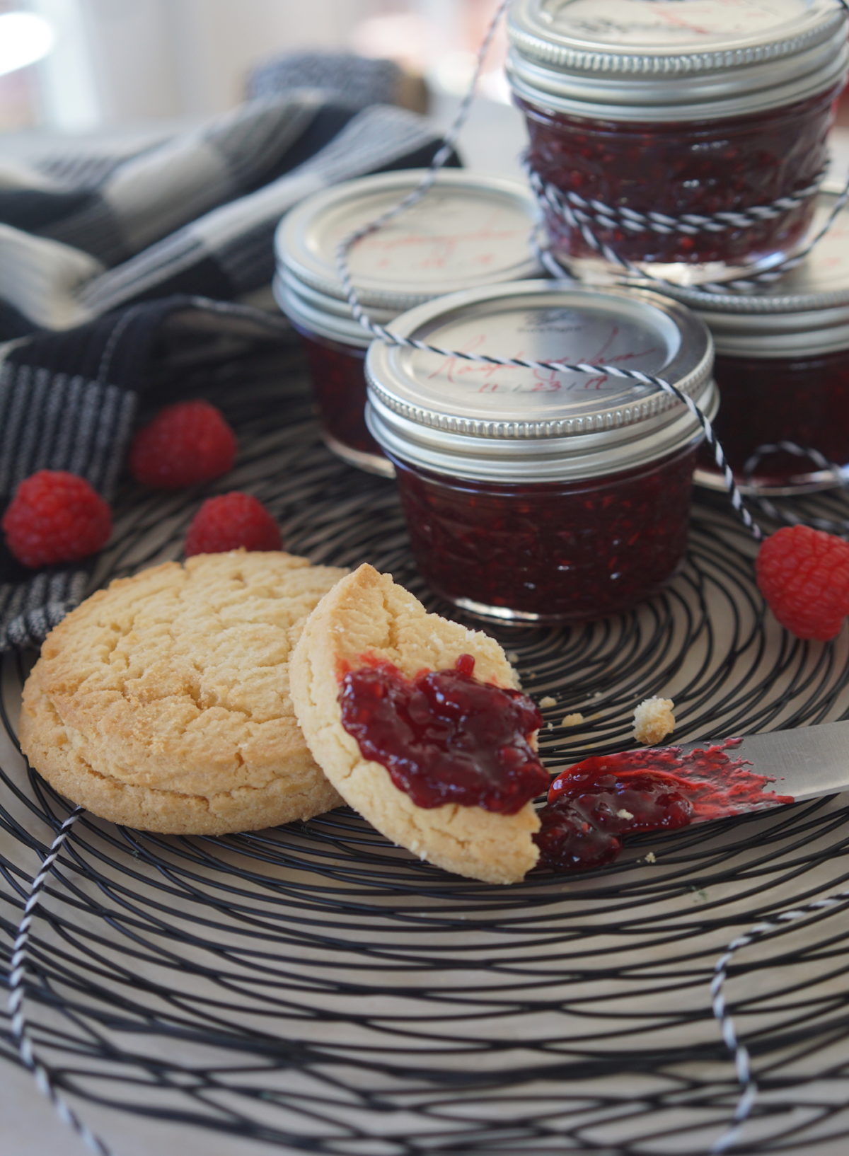 Raspberry Jam - Emily Ellyn