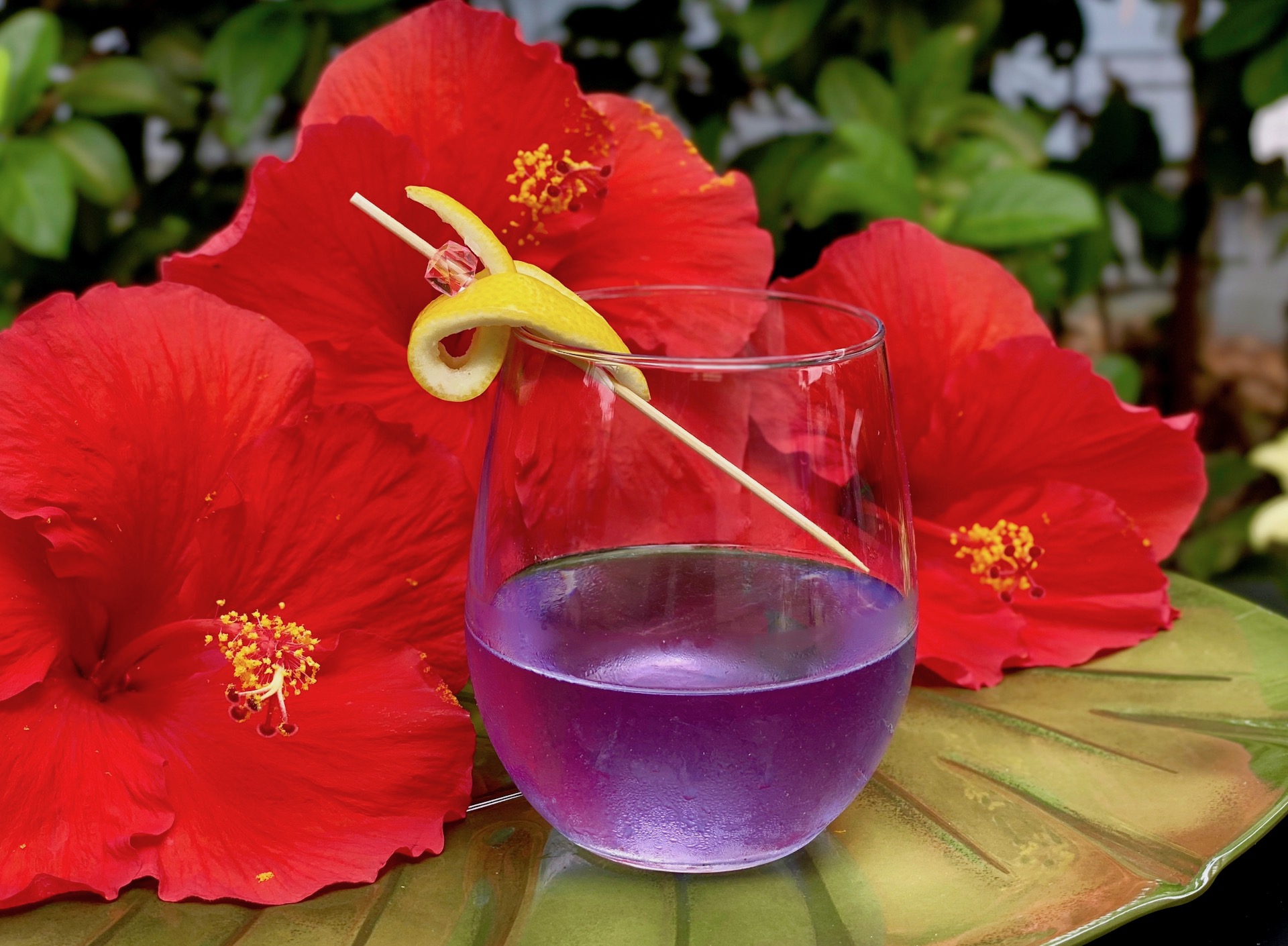 Hive Queen - Emily Ellyn