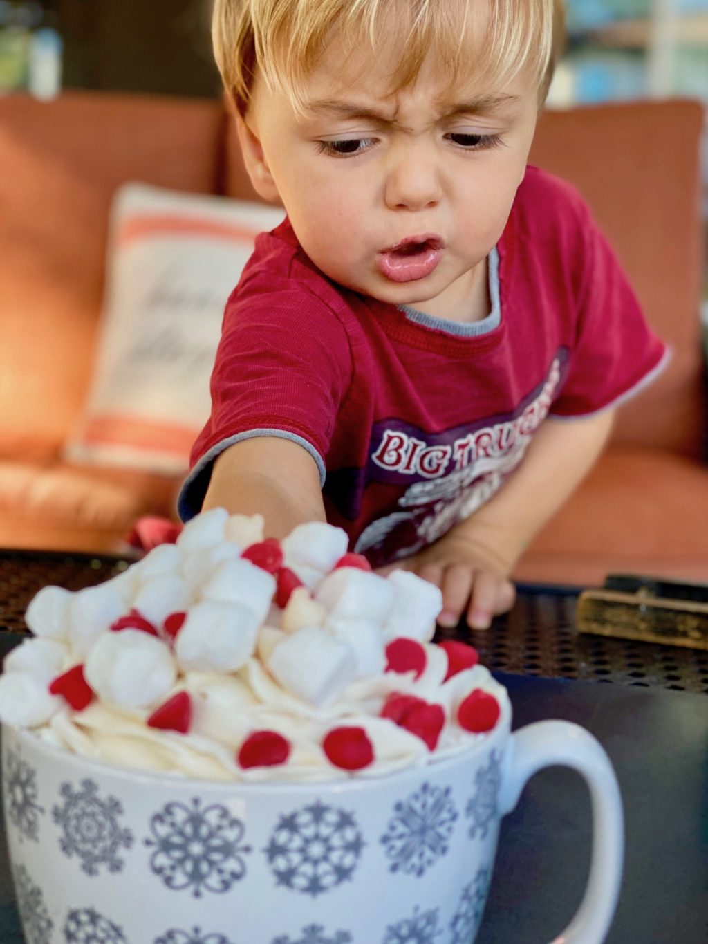 Cannoli Cream Cocoa - Emily Ellyn